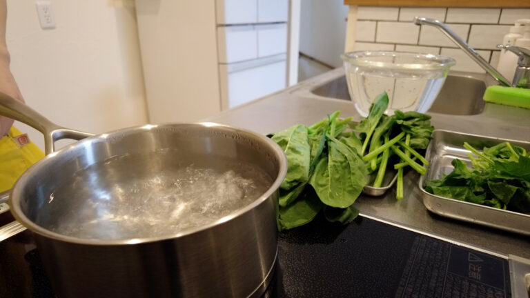 How to Boil Spinach – AYANA GOHAN